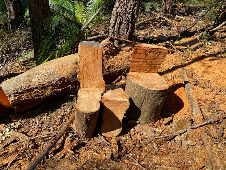 Timber Chairs and Tables stock image. Image of chairs - 199097291
