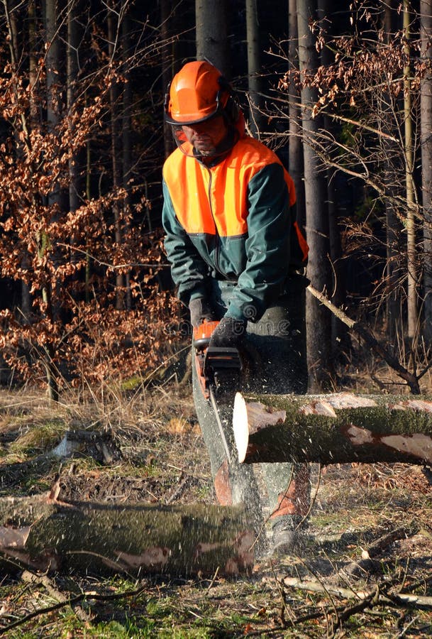 Timber Cutting, Forest Worker - Lumberjack Stock Image - Image of ...