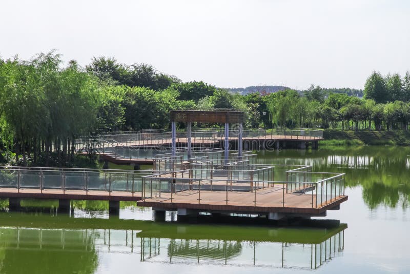 Timber deck on water stock image. Image of pool, garden - 33152319
