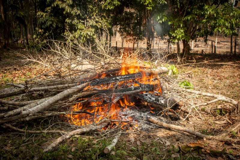 Timber fire stock image. Image of forest, fire, camp - 52547435