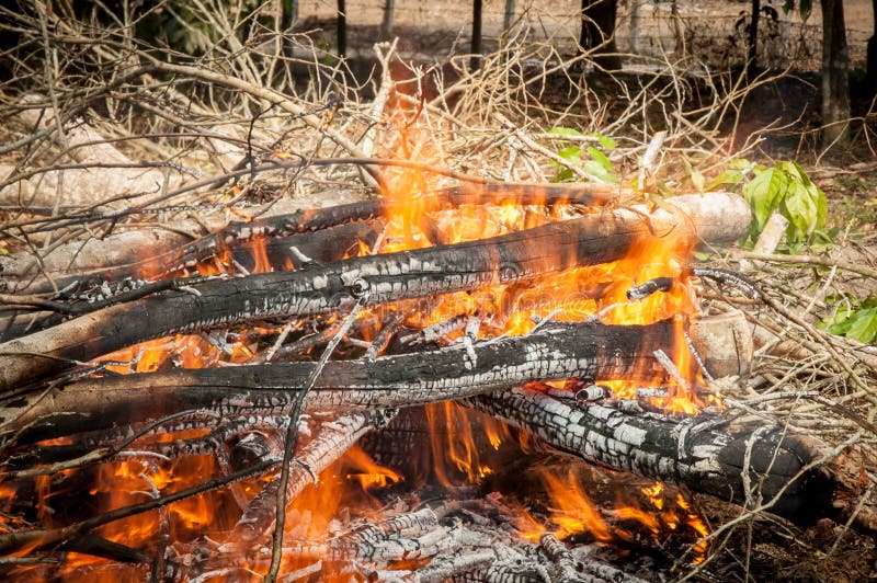 Timber fire stock photo. Image of orange, ground, outdoor - 52547720