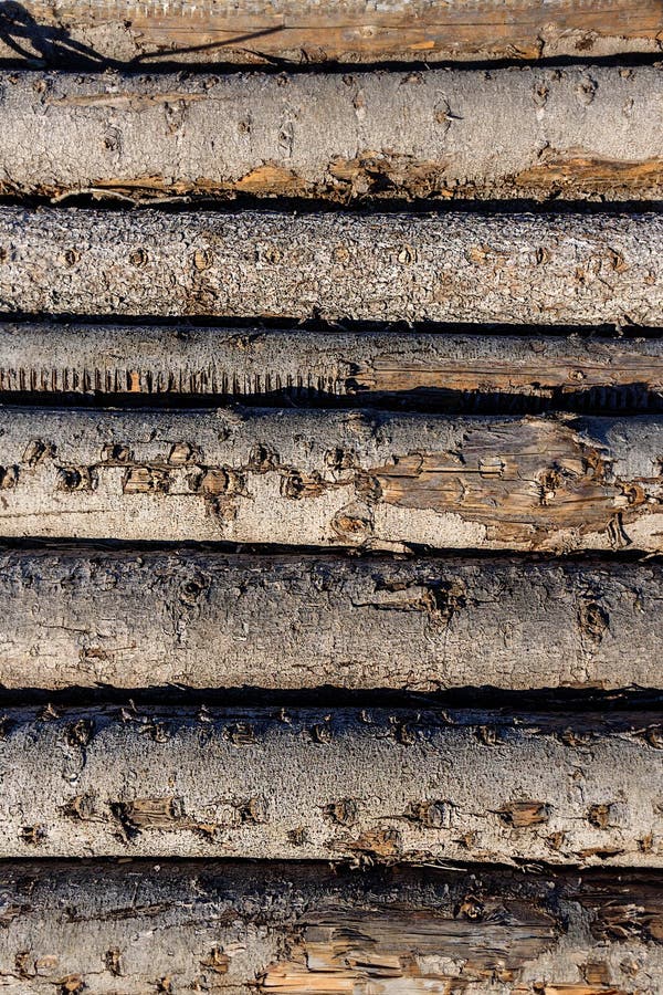 Timber Floating on the River Stock Photo - Image of angle, grass: 75948556