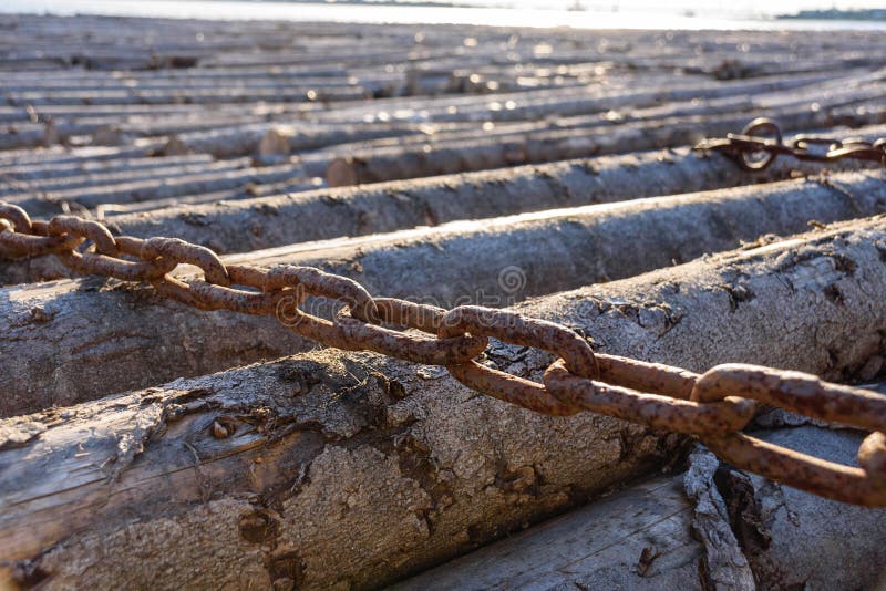 Timber Floating on the River Stock Image - Image of industrial, mode ...