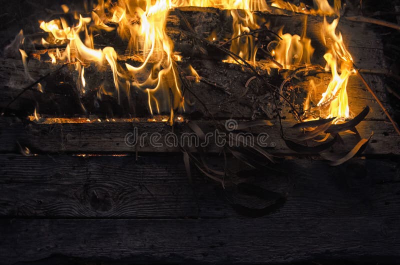 Timber and foliage on fire stock photo. Image of wooden - 83812750
