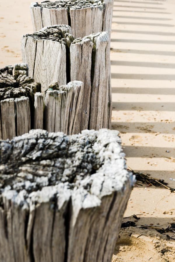 Timber Groynes on the Beach at the North Sea Stock Photo - Image of ...