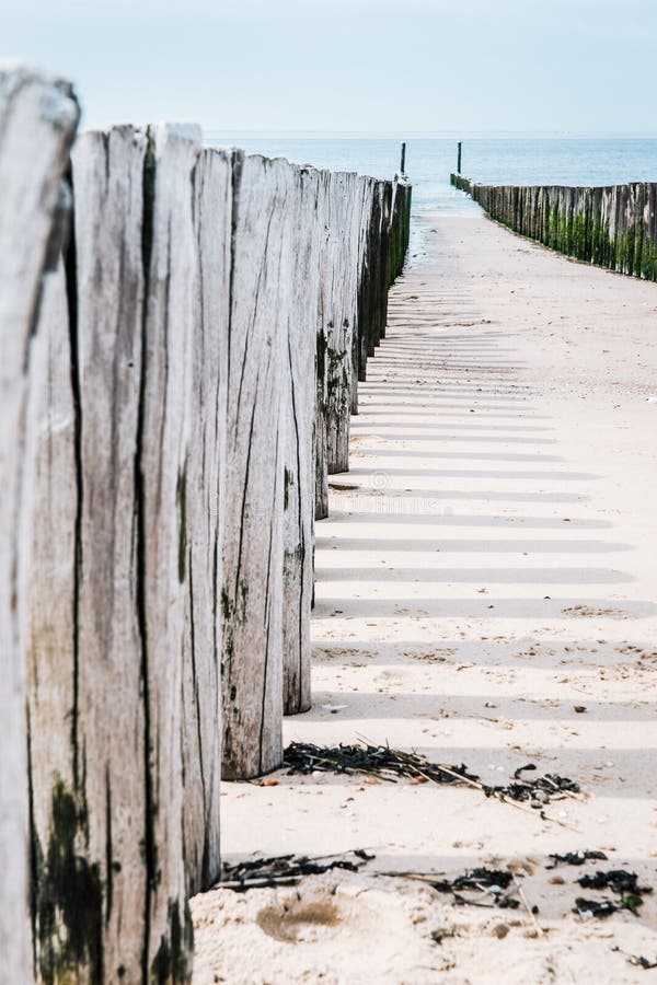 Timber Groynes on the Beach at the North Sea Stock Image - Image of ...