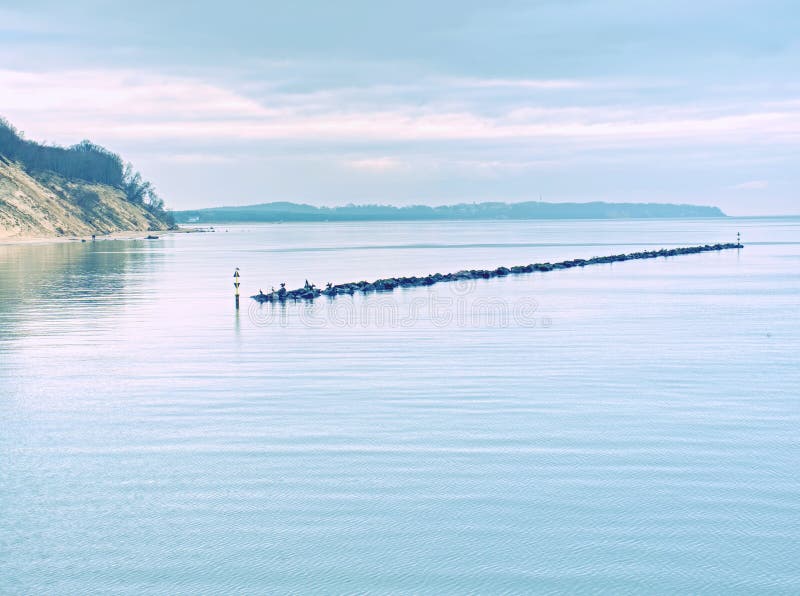 Timber Groynes on the Beach at the North Sea. Moody Sea Stock Photo ...