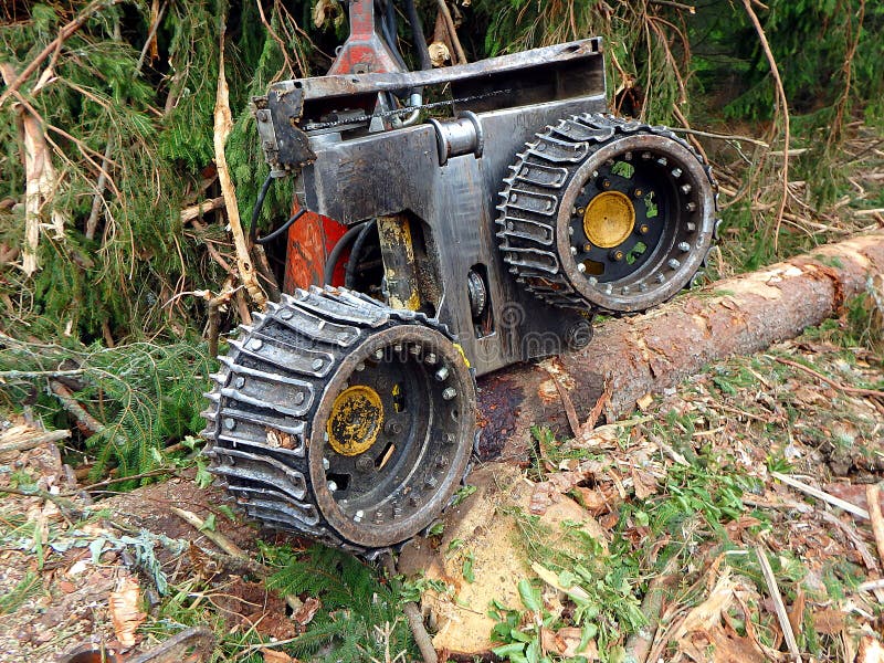 Timber Harvester, Operating Head, Stock Photo - Image of nature, lumber ...