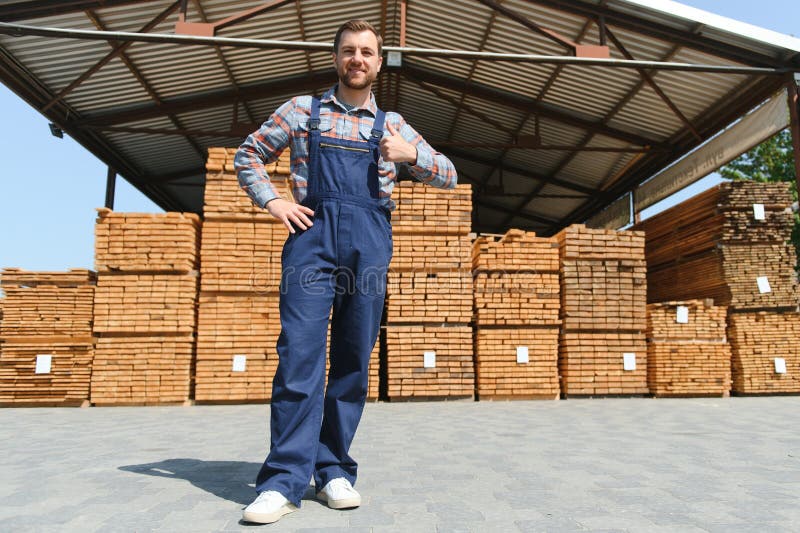 Timber Harvesting for Construction. Carpenter Stacks Boards. Industrial ...