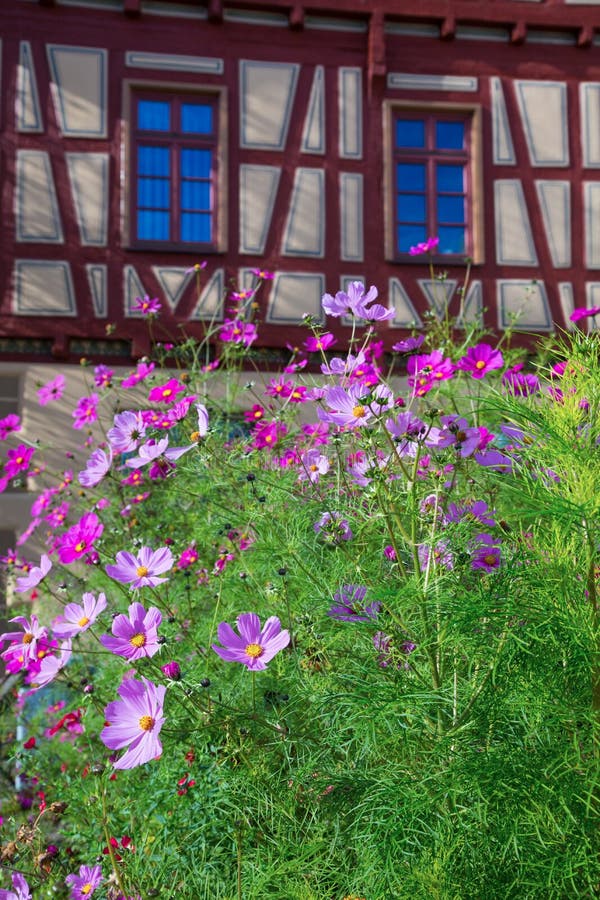 Timber house stock photo. Image of europe, historic, blue - 46383532