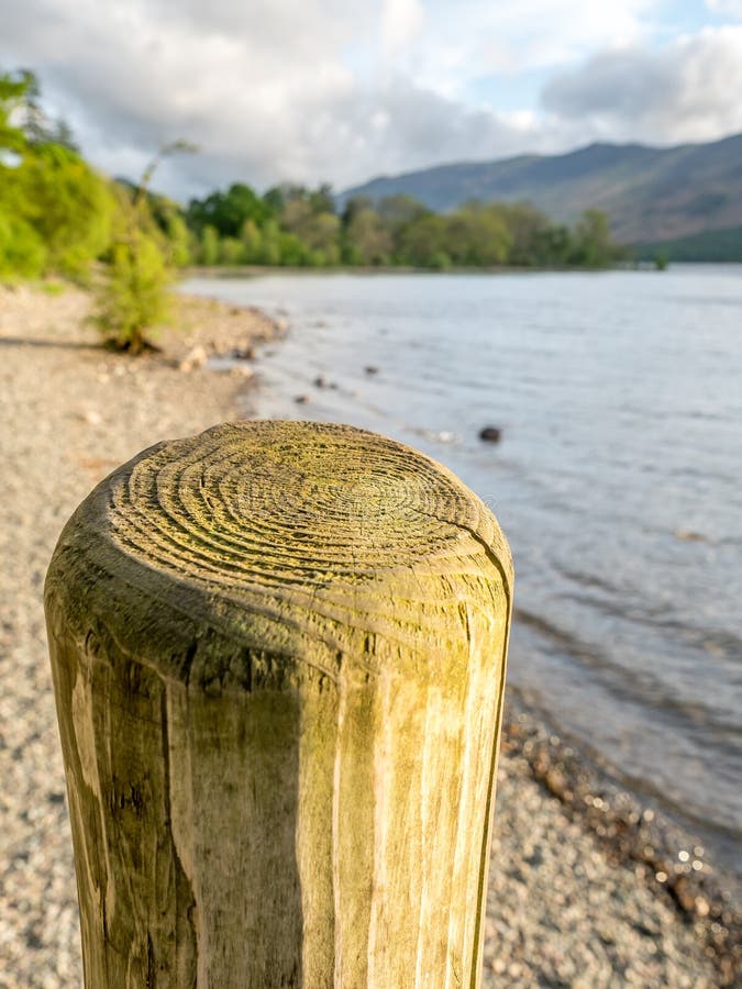 Timber beside lake stock photo. Image of cloudy, annual - 74286316