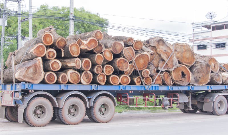 Timber stock image. Image of heavy, load, giant, vancouver - 50976377