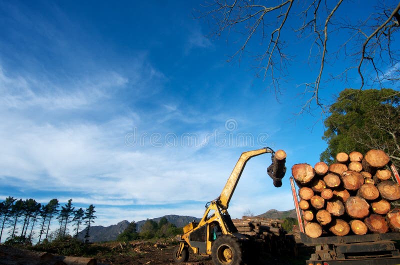 Timber Loading stock image. Image of forest, cutting - 17790079