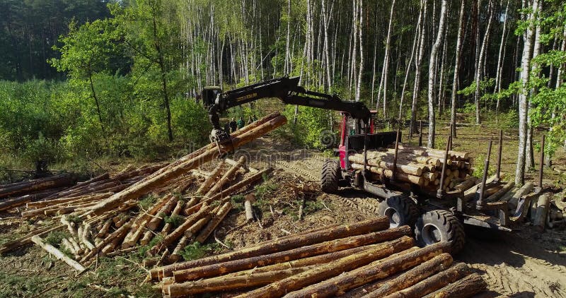Timber Loading, Loading Logs into a Truck, Timber Processing ...
