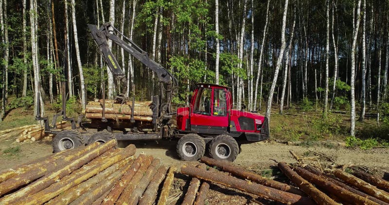 Timber Loading, Loading Logs into a Truck, Timber Processing ...