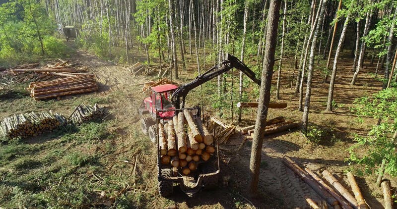 Timber Loading, Loading Logs into a Truck, Timber Processing ...