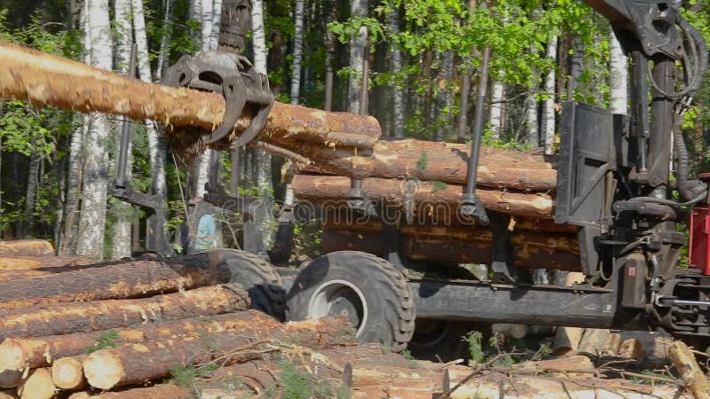 Timber Loading, Loading Logs into a Truck, Timber Processing ...