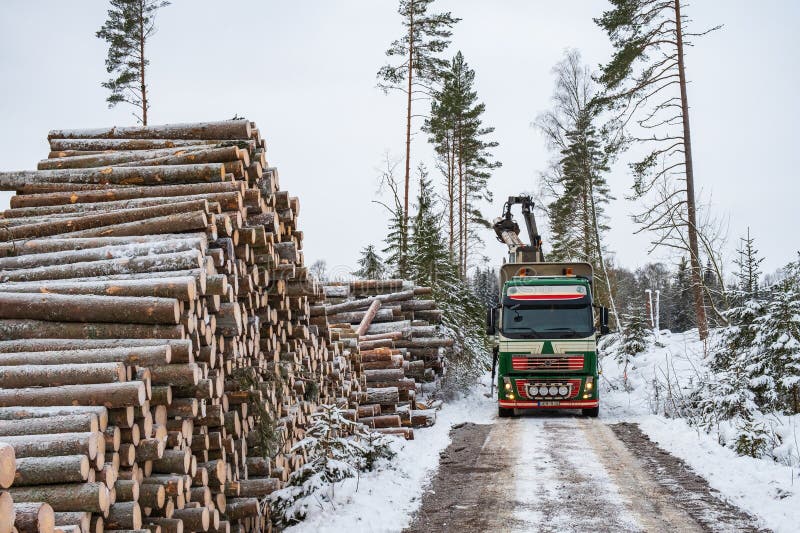 Timber Loading To a Truck on the Winter Editorial Photo - Image of ...