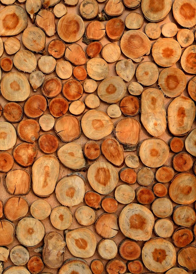 Timber log background stock photo. Image of forest, cross - 47107646