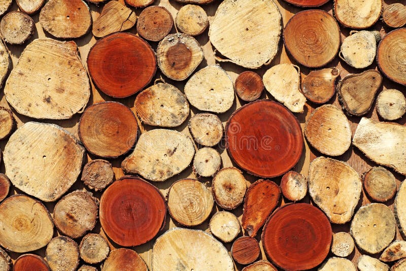 Timber log mosaic stock photo. Image of concentric, environment - 33921660