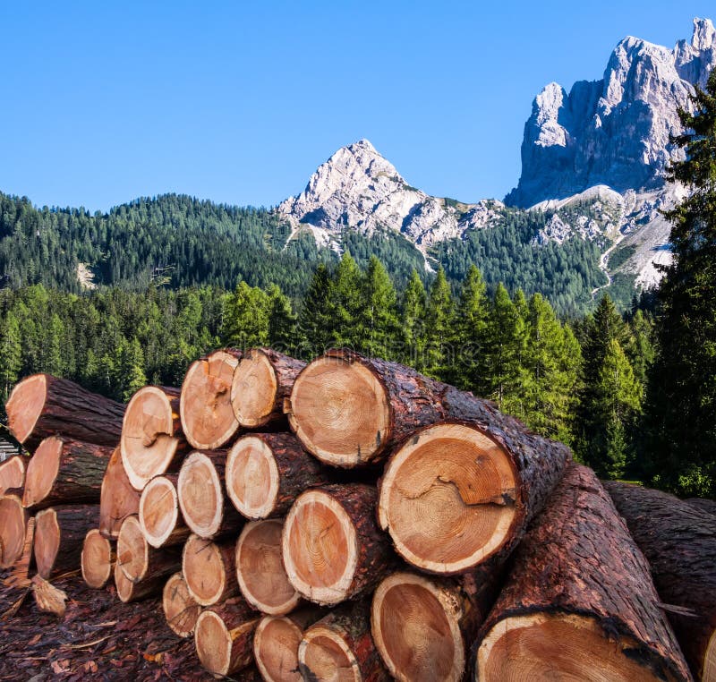 Timber Logging in Austrian Alps Stock Photo - Image of woodchip ...