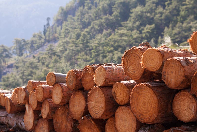 Timber Logging in Austrian Alps Stock Photo - Image of wildlife ...