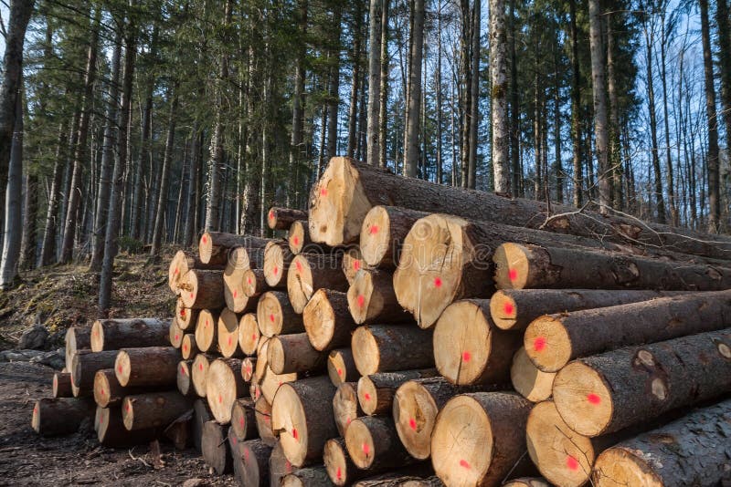 Timber Logging in Austrian Alps Stock Photo - Image of wildlife ...
