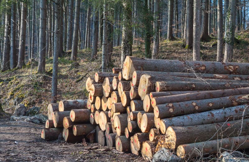 Timber Logging in Austrian Alps Stock Photo - Image of wildlife ...