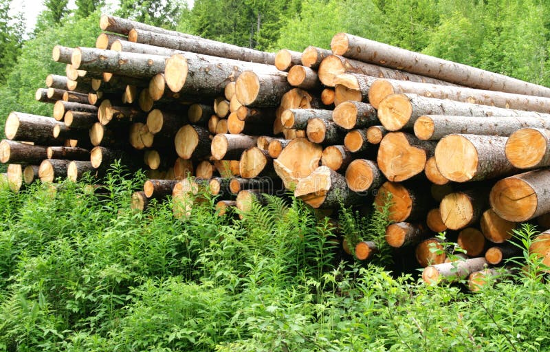 Timber Logs on Truck Trailer Stock Image - Image of transport, driving ...