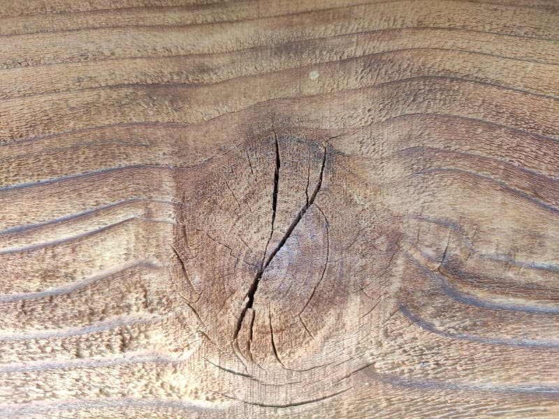 Timber Logs Cross Section with Natural Grains and Knots Stock Image ...