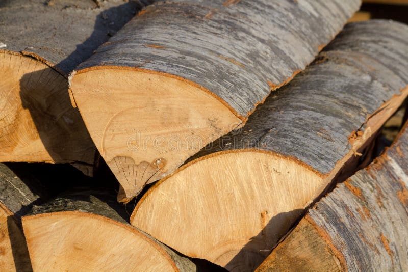Timber logs stock image. Image of forest, country, lots - 24221563