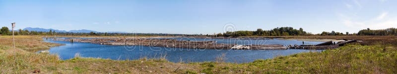 Timber Logs Float in the Water; Stock Image - Image of lake, water ...