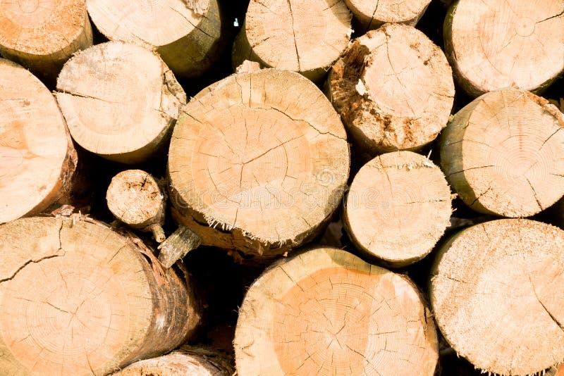 Timber logs stock image. Image of chop, cold, logs, pile - 97880337