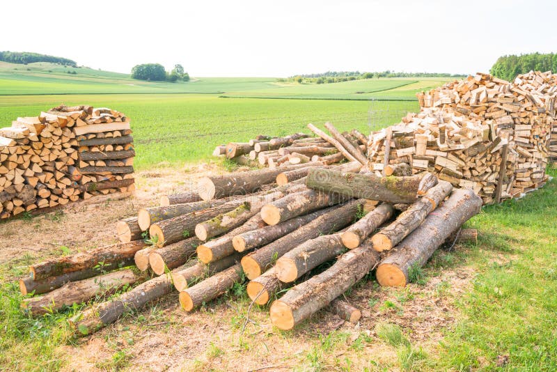 Timber logs stock image. Image of lumberyard, stockpile - 101375897