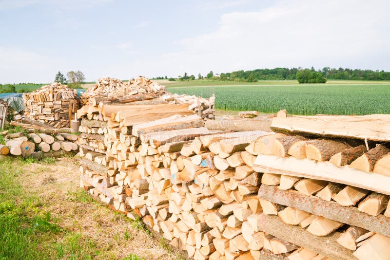 Timber logs stock photo. Image of lumberyard, outdoors - 101376422