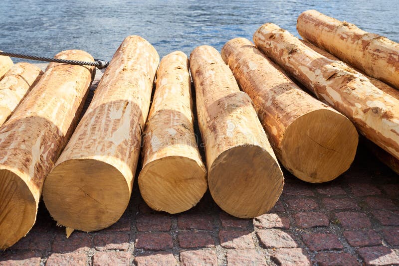 Timber Logs on the Paving Slab. Stock Image - Image of design ...