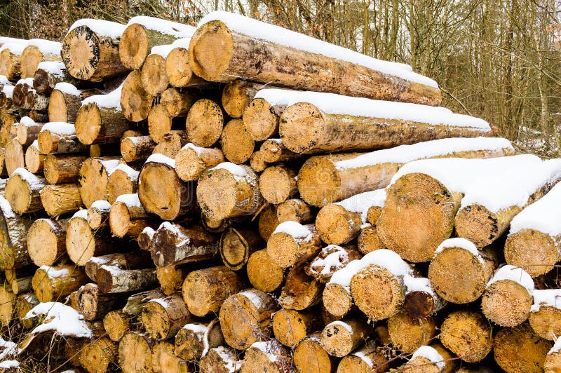 Timber logs in winter stock image. Image of lumber, industrial - 49859905