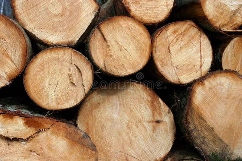 Timber Logs on Truck Trailer Stock Image - Image of transport, driving ...