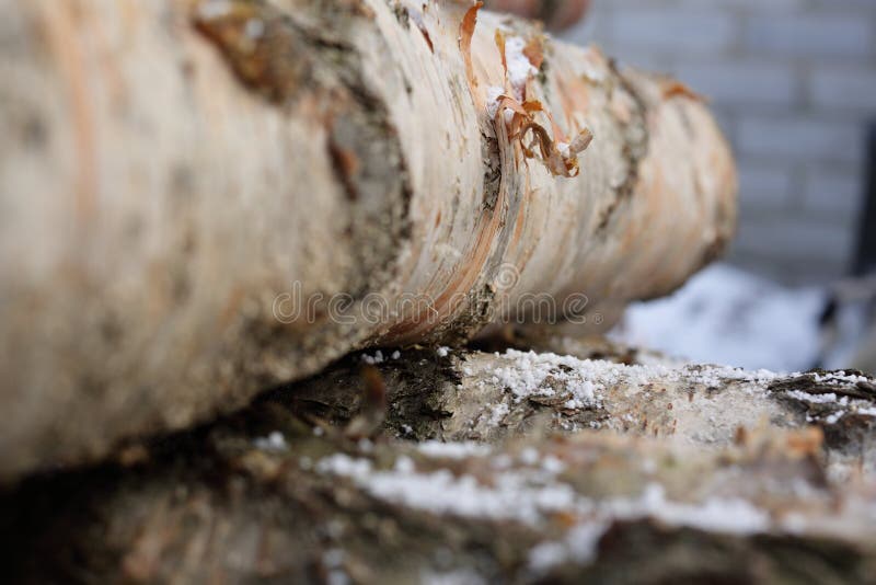 Timber stock image. Image of timber, balk, beam, trunks - 97708851