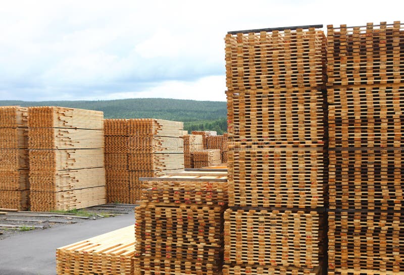Pine Wood Wooden Logs Stack Stock Photo - Image of sawed, woodpile: 613268