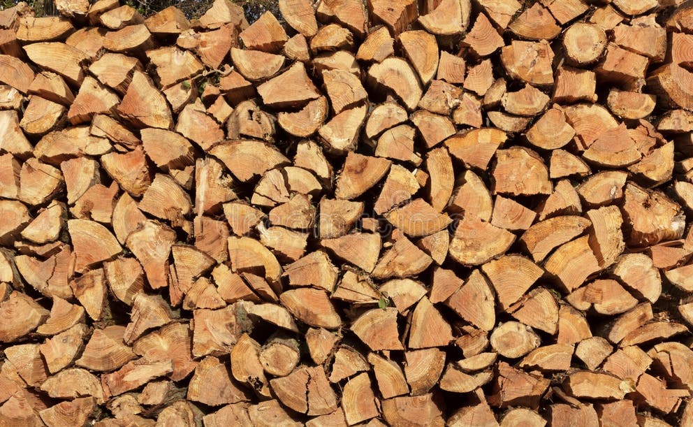 Timber stock photo. Image of fuel, lumber, tree, brown - 54749320