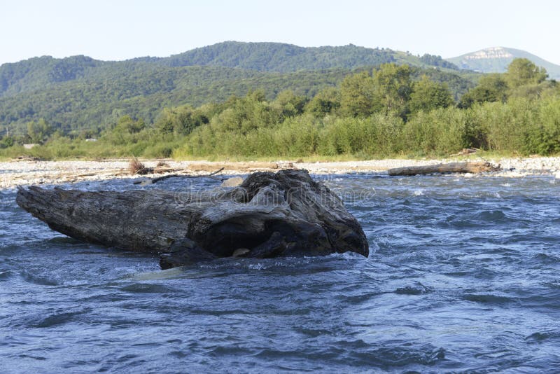 Timber in a mountain river stock image. Image of timber - 45715579
