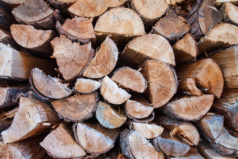Timber Logging in Austrian Alps Stock Photo - Image of wildlife ...