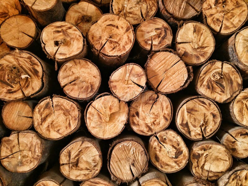 Timber pattern and texture stock image. Image of group - 44279103