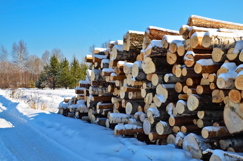 Timber pile in the snow stock photo. Image of outdoors - 23865012