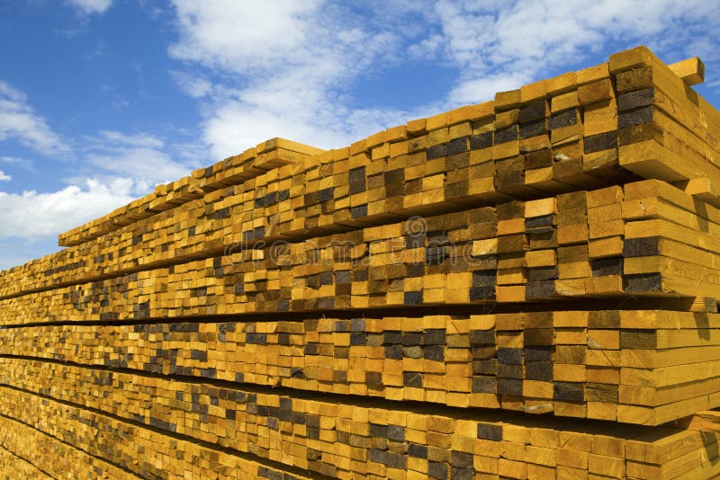 Timber stock image. Image of fuelwood, bole, forestry - 36706813