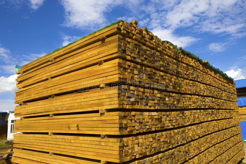 Timber stock image. Image of trunk, lumbering, tree, horizontal - 36706841