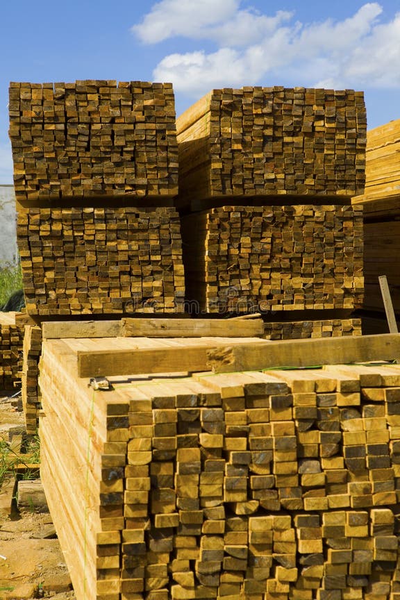 Timber stock photo. Image of sunlight, bole, industry - 36706896