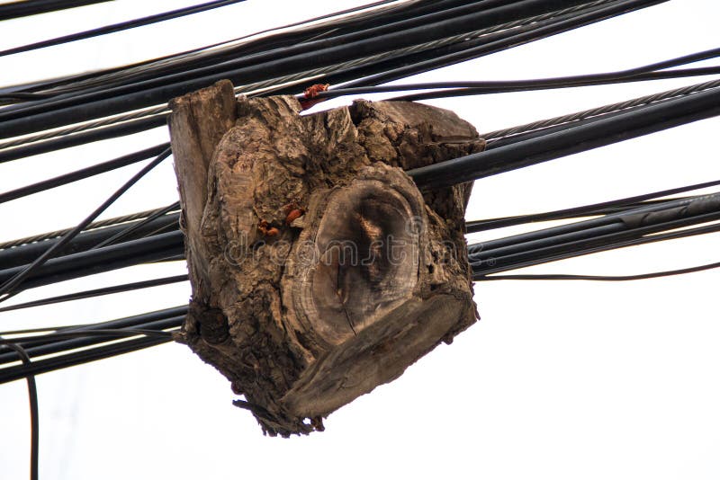 LAN cable stock photo. Image of port, cord, digital, networking - 94051498