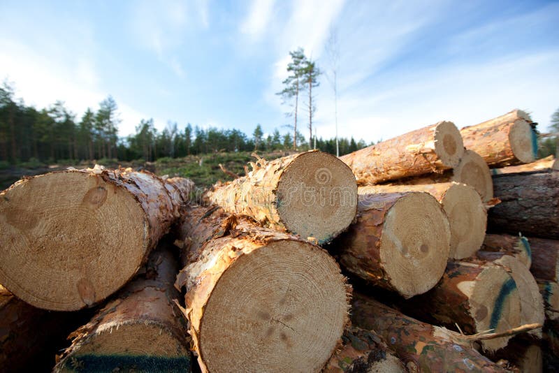 Timber resources stock image. Image of construction, bulldozer - 3095017